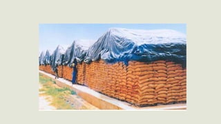 COVER AND PLINTH STORAGE SYSTEM USED IN FOOD.pptx