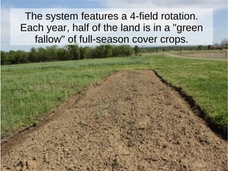 Cover Crops at the Kerr Center | PDF