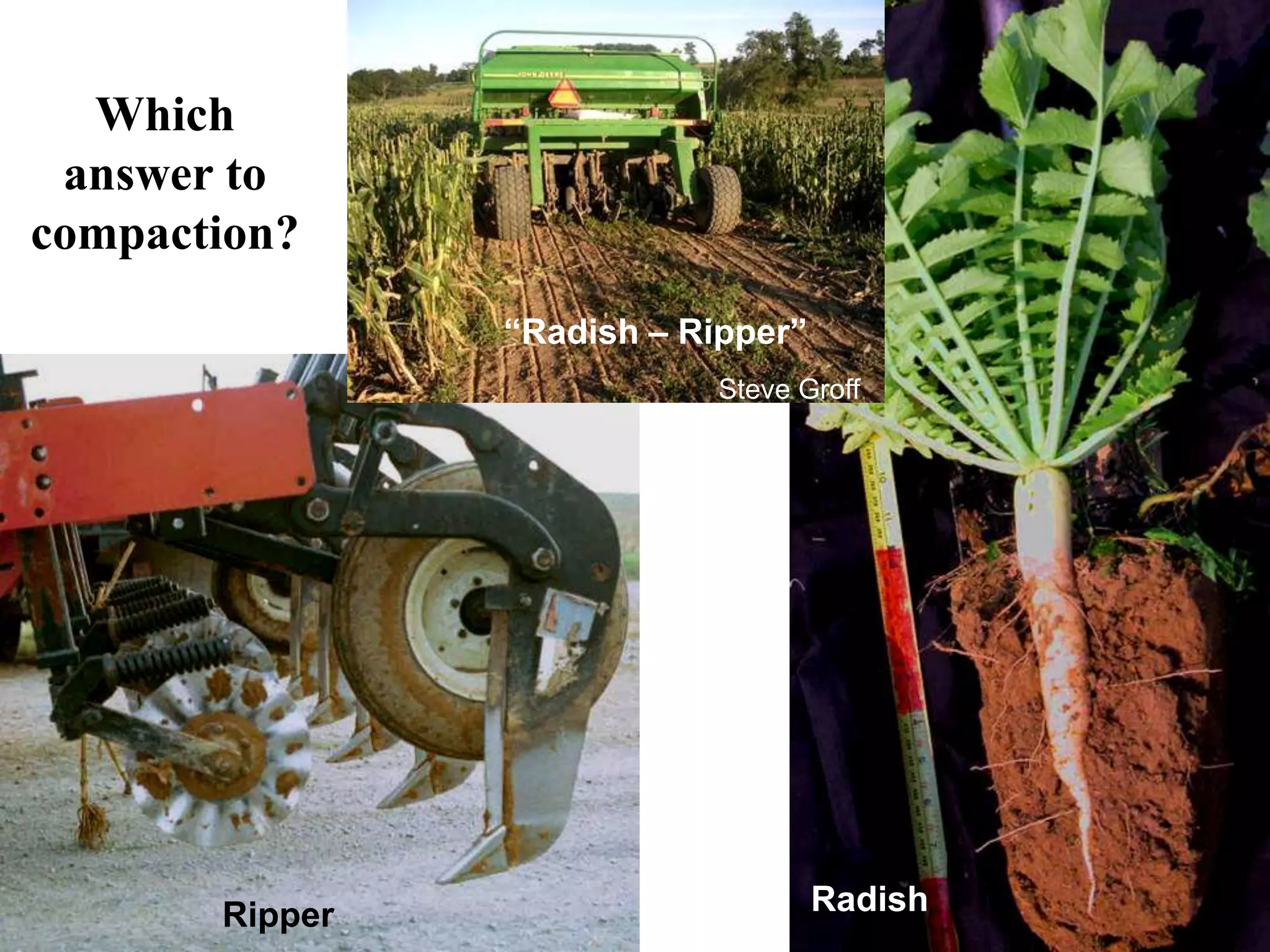 Cover crops & soil compaction