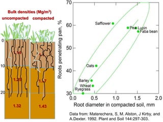 Cover crops & soil compaction | PPT