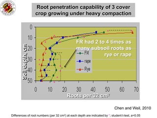 Cover crops & soil compaction | PPT