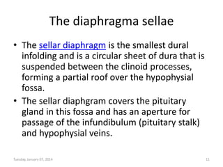 Coverings of brain & spinal cord | PPTX