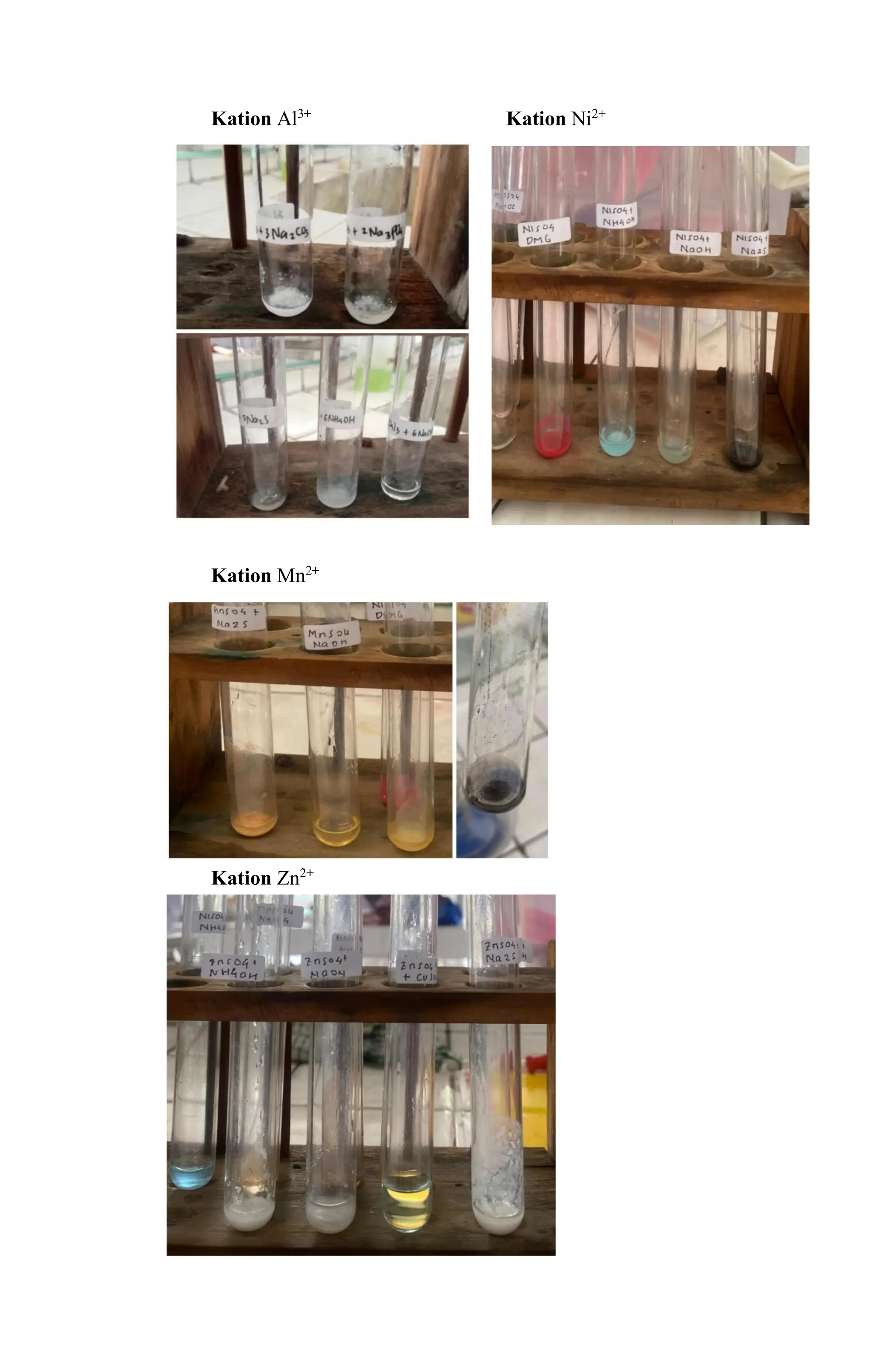 laporan praktikum analisis kation-10-3.pdf