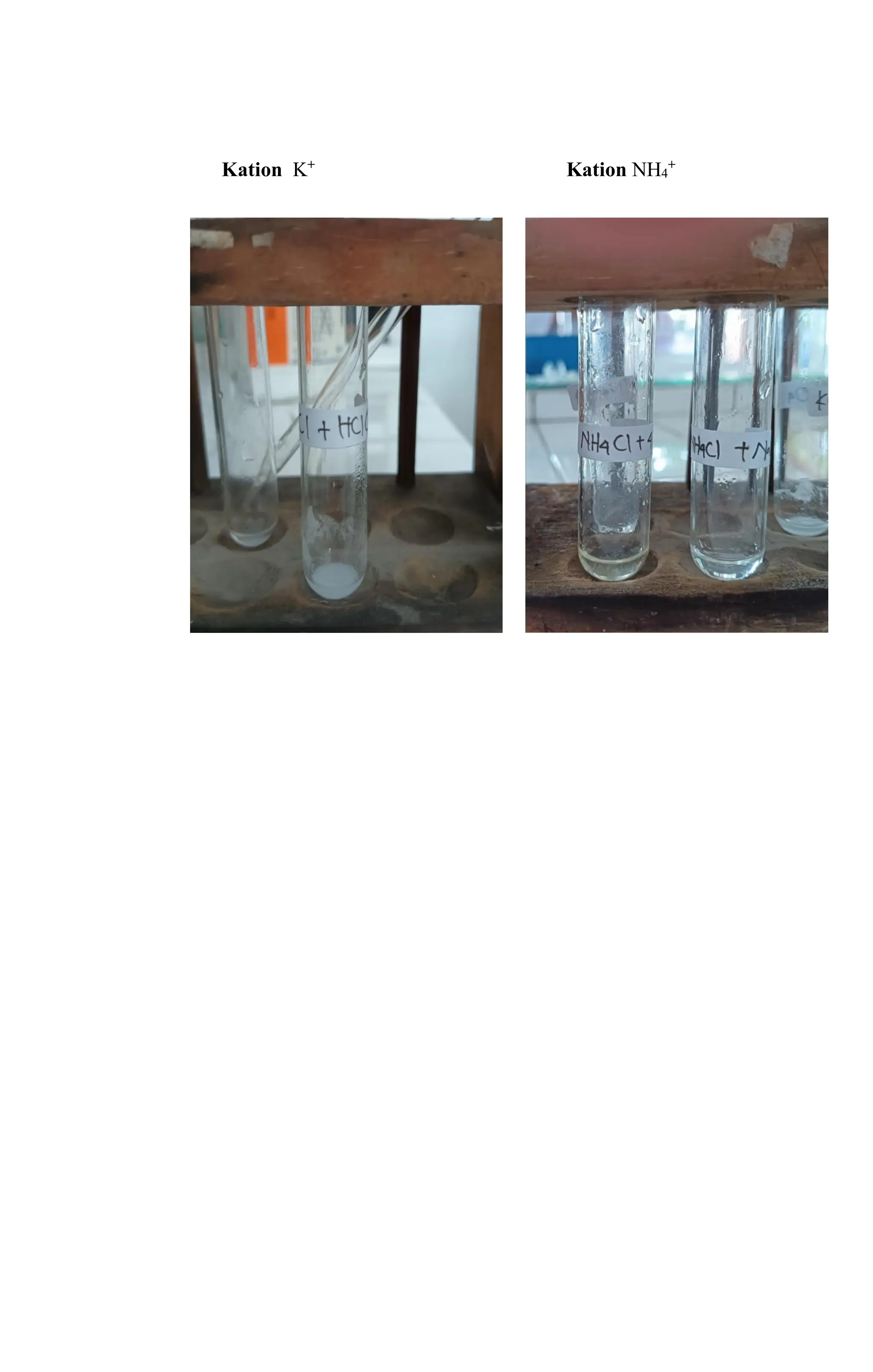 laporan praktikum analisis kation-10-3.pdf