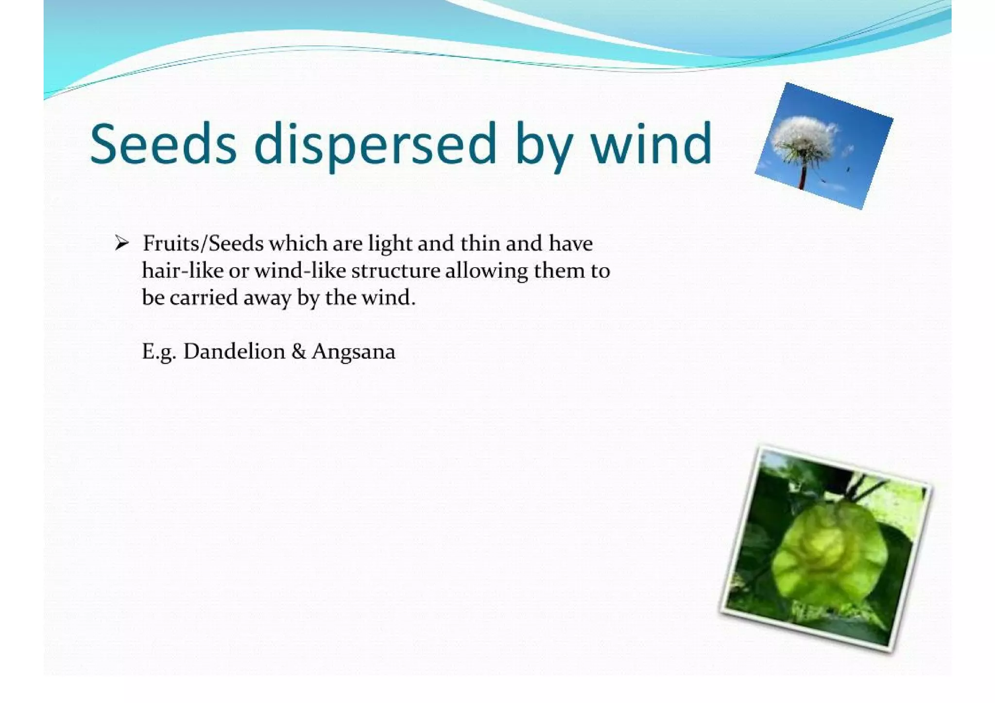 Cover Page | PDF