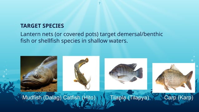 coverpot_fishing_gear_salakab_fishing.pptx