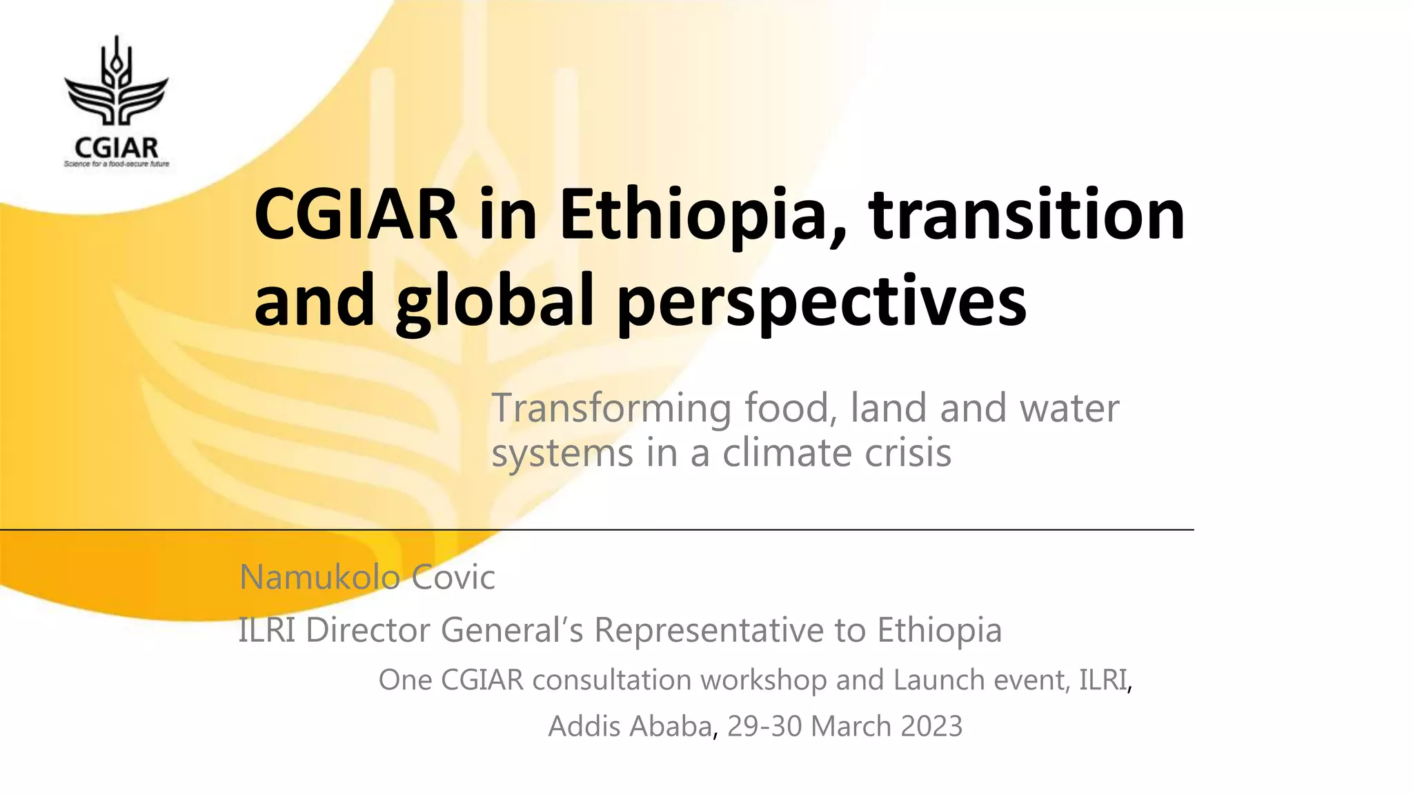 CGIAR in Ethiopia, transition and global perspectives: Transforming ...