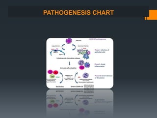 Covid 19, a brif study | PPT