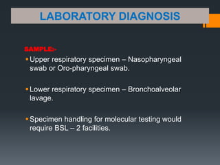 Covid 19, a brif study | PPT