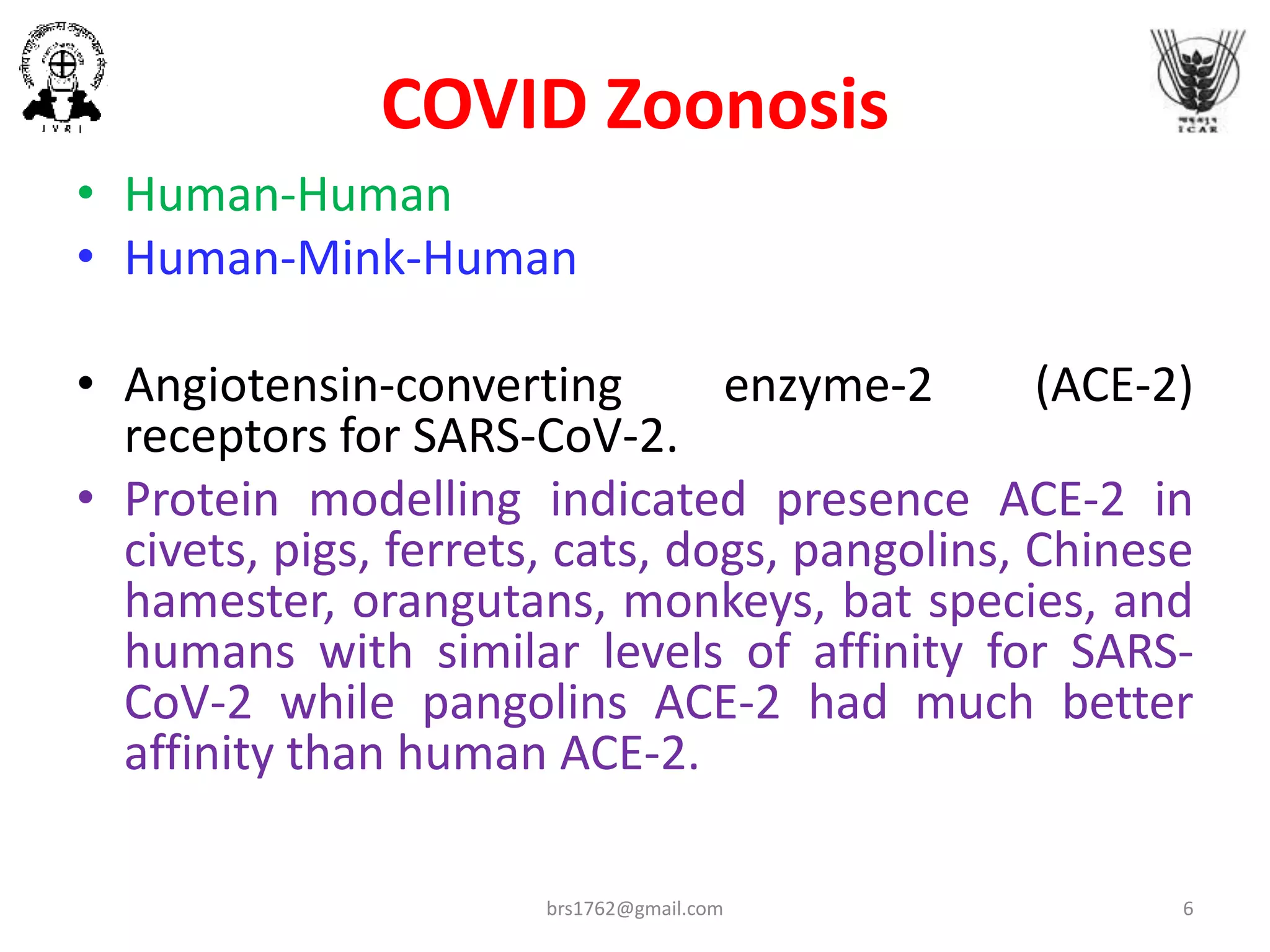 Covid 19: A Zoonosis | PPTX
