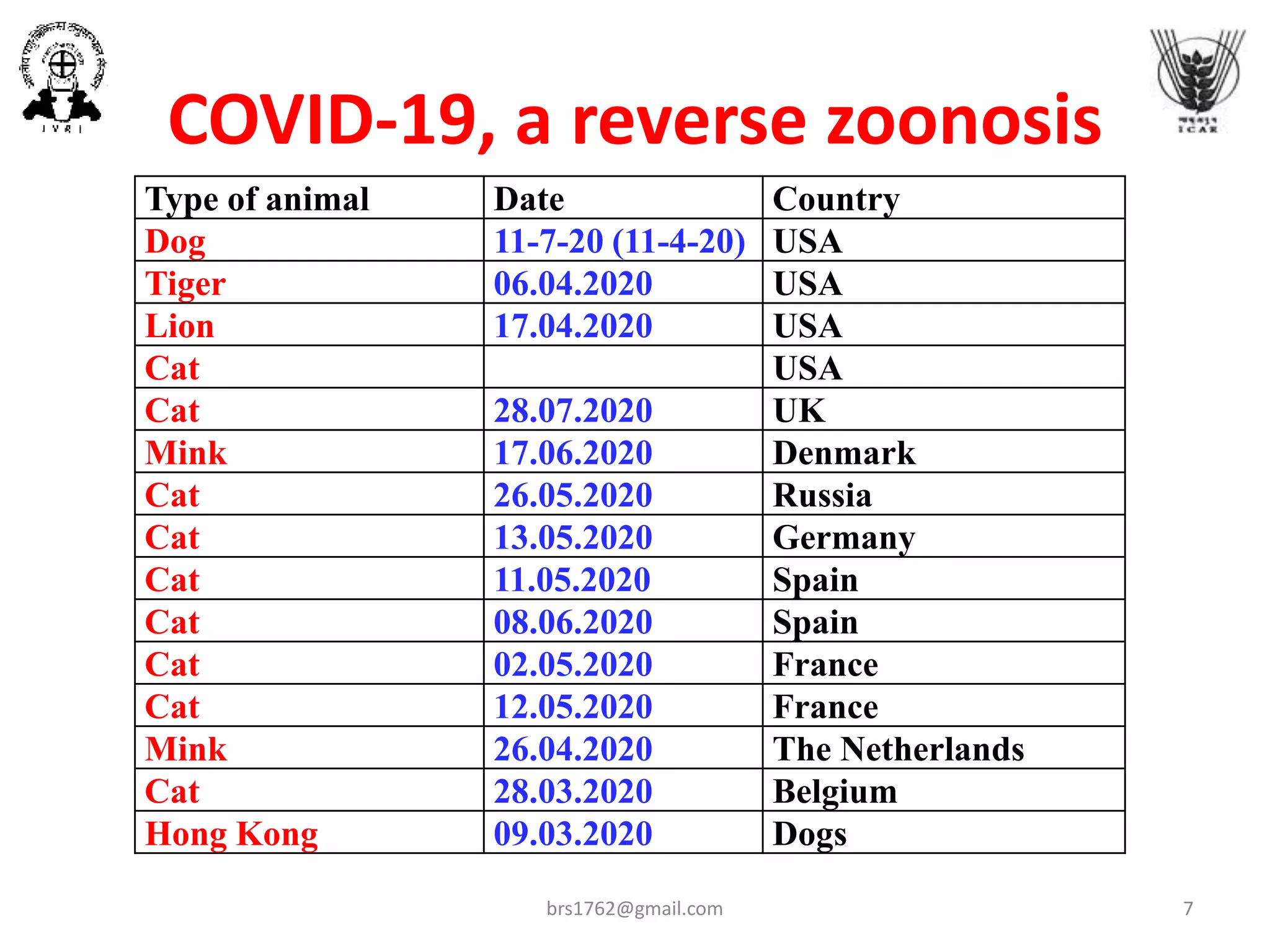 Covid 19: A Zoonosis | PPTX