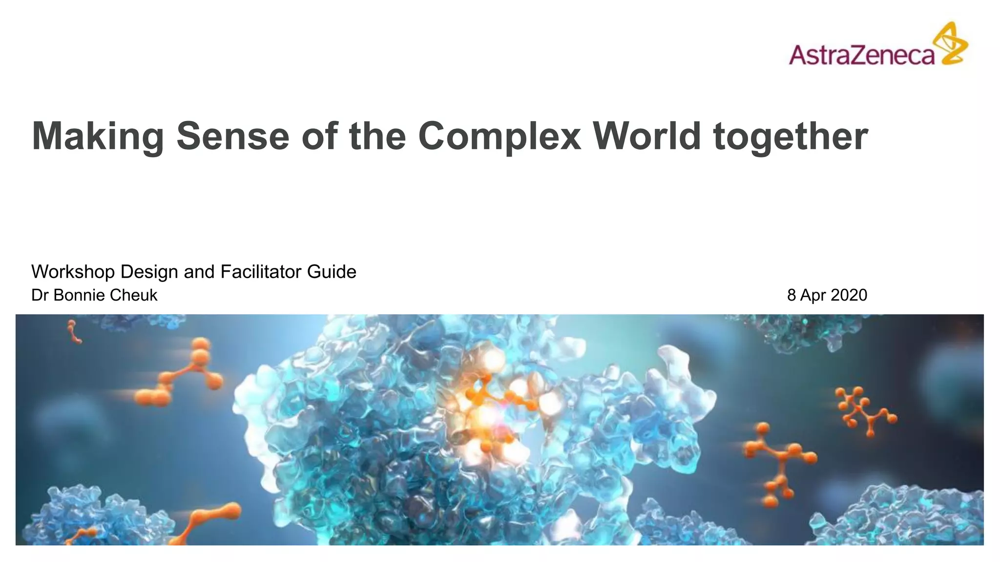 Making Sense of the Complex World Together Sense-Making Workshop | PDF