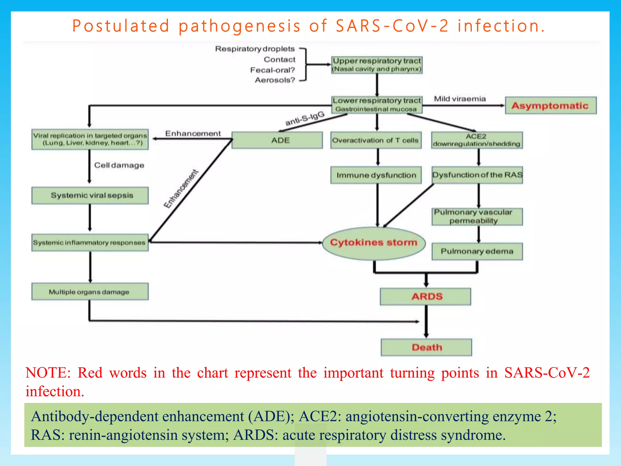 Covid-19/Sars Cov-2 pathogenesis | PPTX