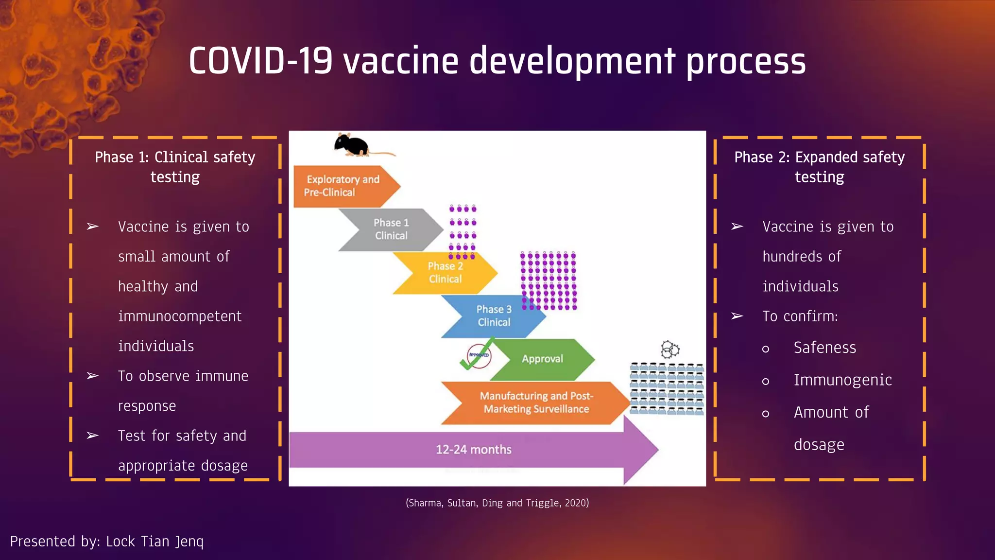 Covid 19, vaccine and it's development process - Group 1 | PPT