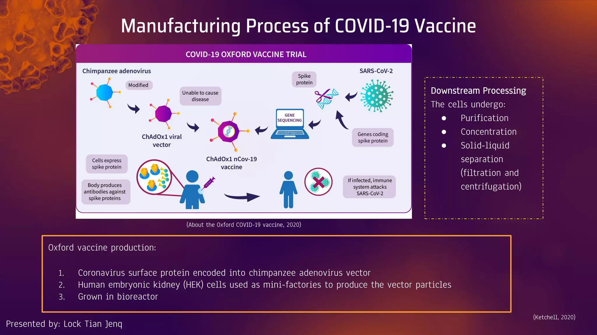 Covid 19, vaccine and it's development process - Group 1 | PPT