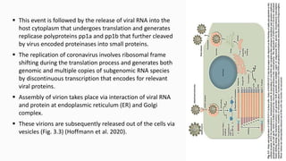 Coronaviruses & COVID 19 - Its Morphology, Role, Mechanism of Action ...