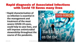 Covid 19 and mucor mycosis by dr.t.v.rao md | PDF