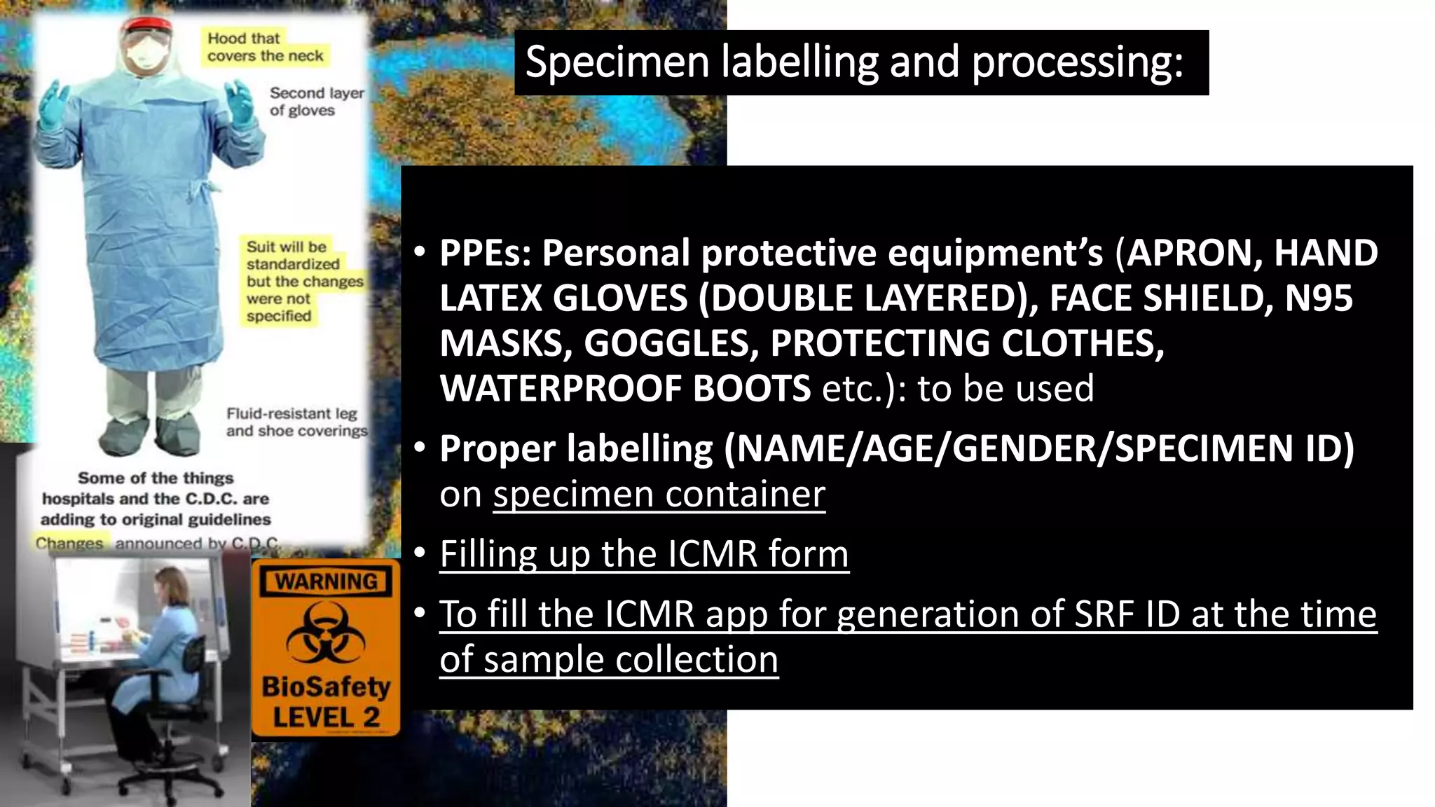 Covid 19 sample collection and diagnosis | PPTX