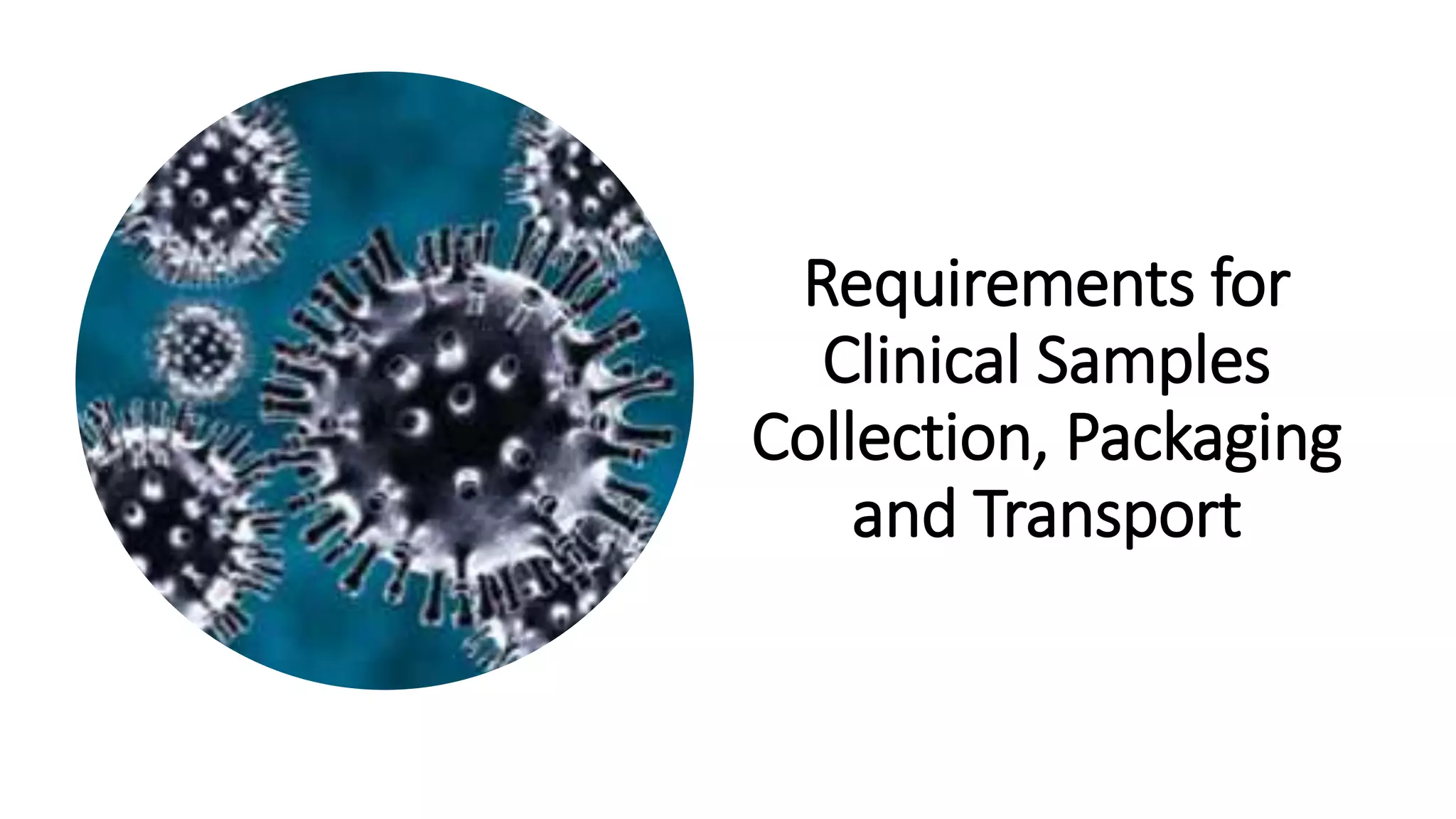 Covid 19 sample collection and diagnosis | PPTX