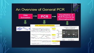 Covid19 testing by rt pcr and rapid test kit , how it work | PPT | Free ...