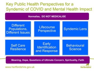 Covid 19 Syndemic Impact on Mental Health | PPT