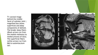 COW_ankle anatomy radiology with xrays and MRI | PPTX