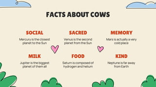 Cow Appreciation Day Minitheme by Slidesgo.pptx
