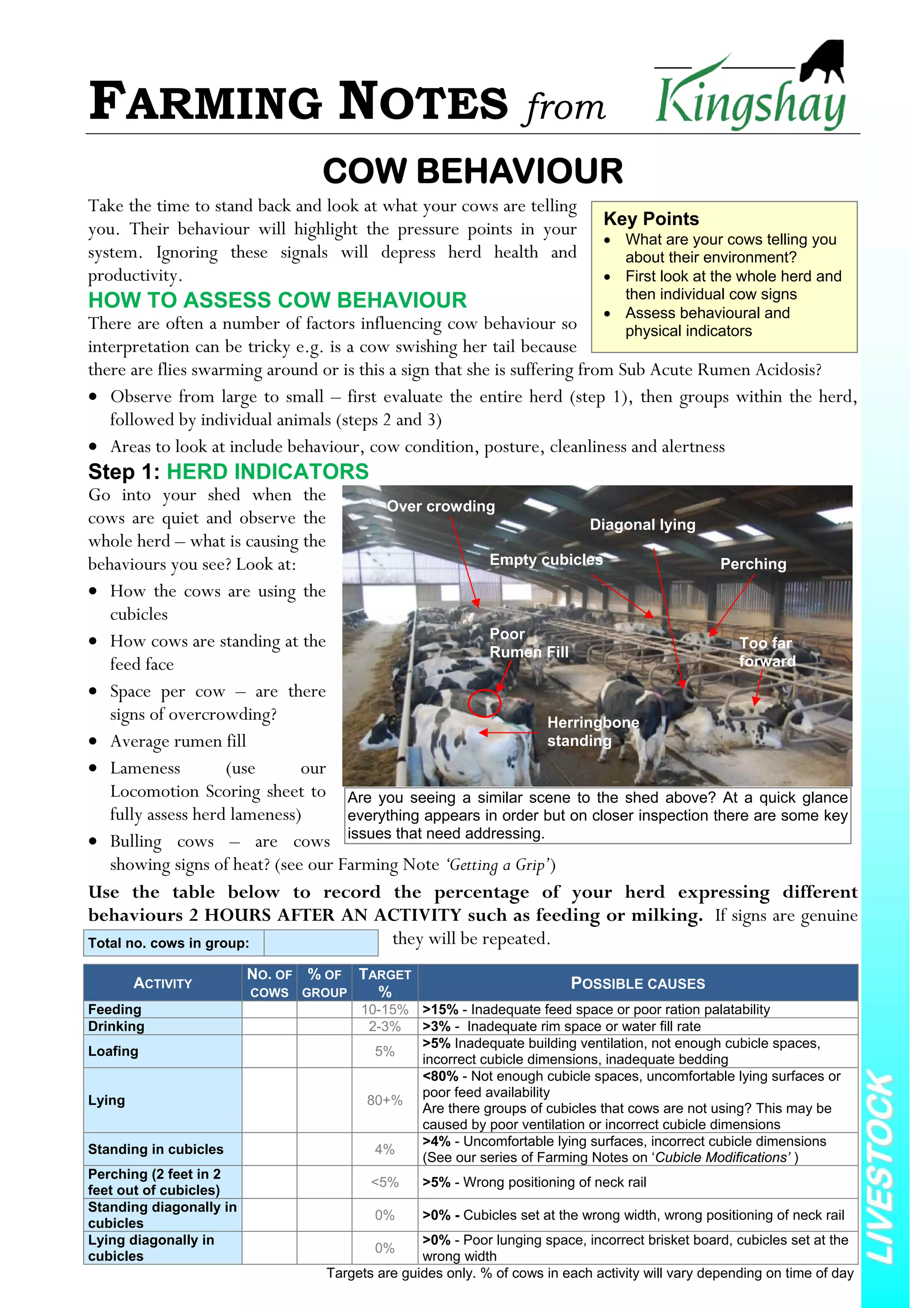 Cow behaviour & signals | PDF | Injuries | Diseases and Conditions
