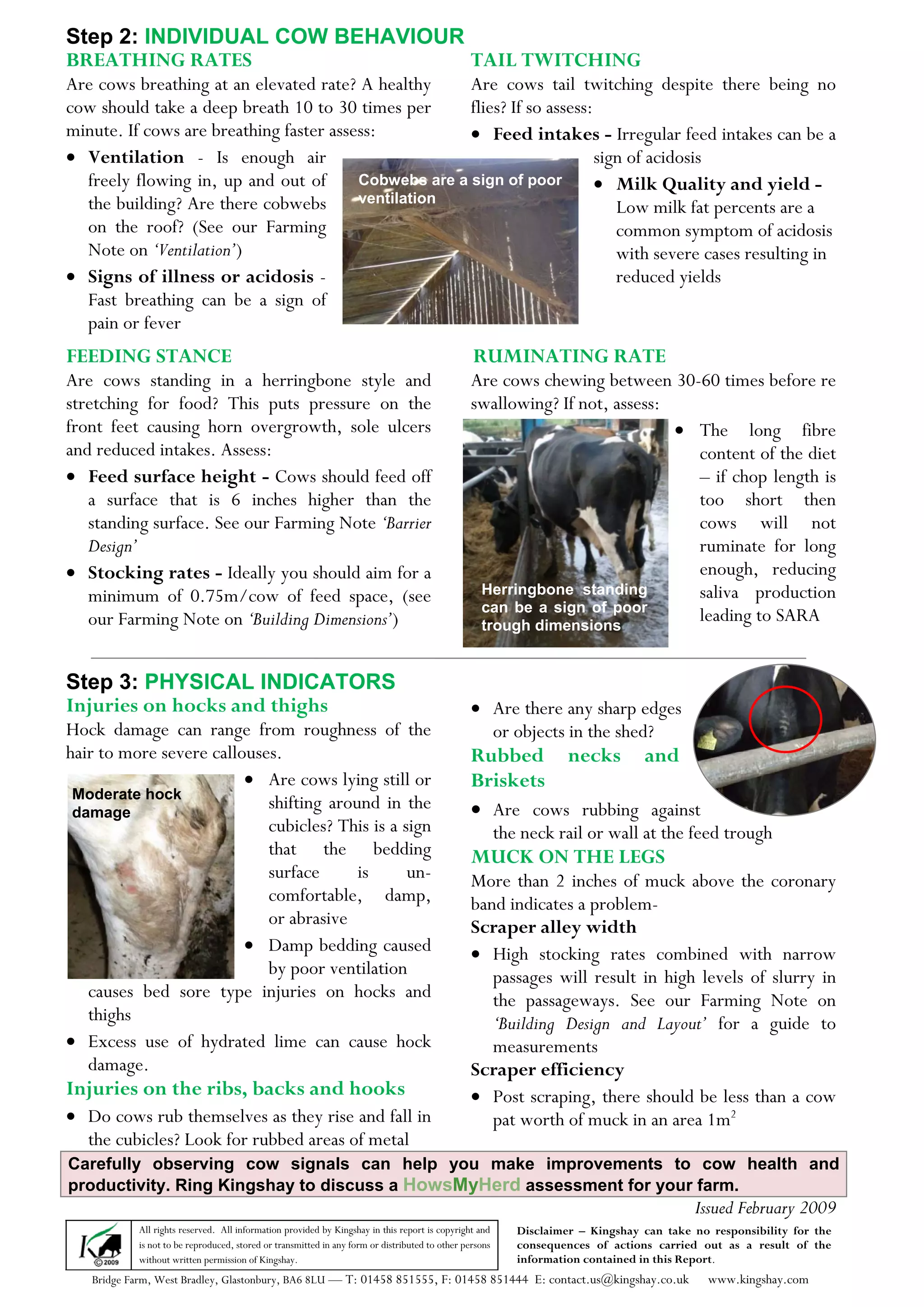 Cow behaviour & signals | PDF | Injuries | Diseases and Conditions