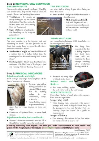 Cow behaviour & signals | PDF
