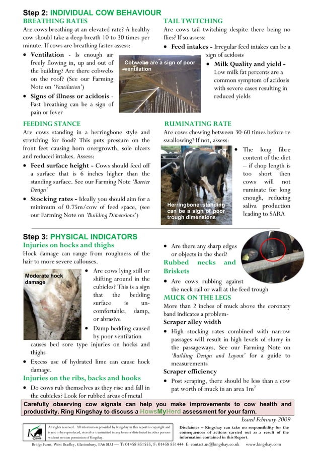 Cow behaviour & signals | PDF | Injuries | Diseases and Conditions