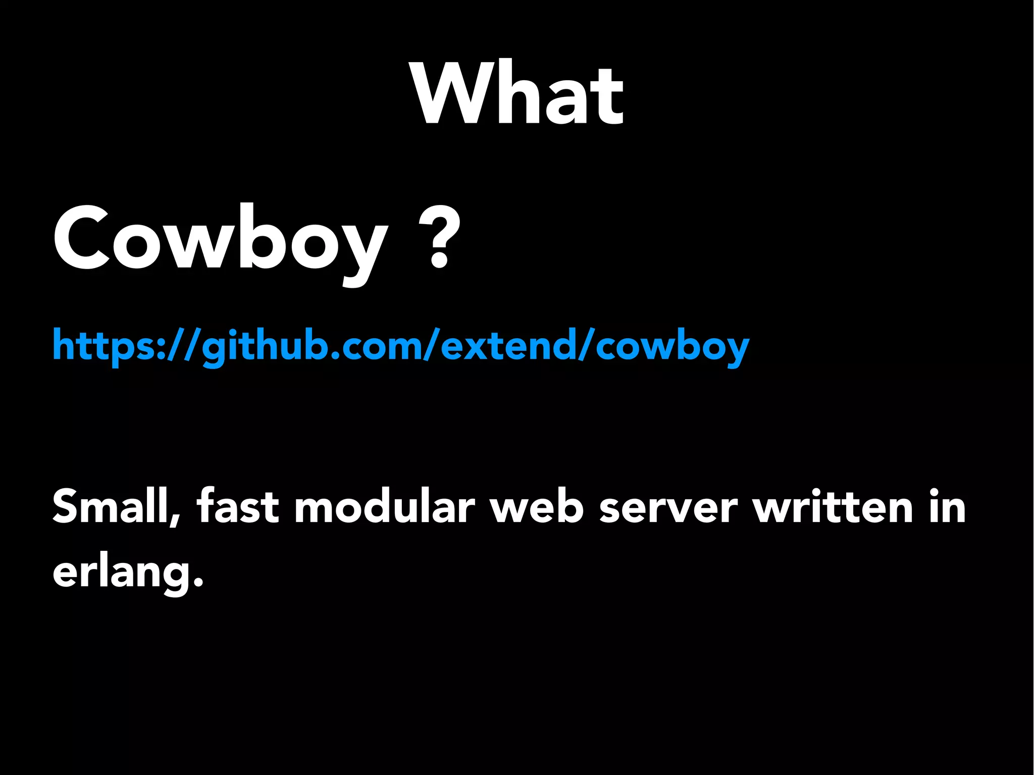 Cowboy rabbit-websockets | PPT