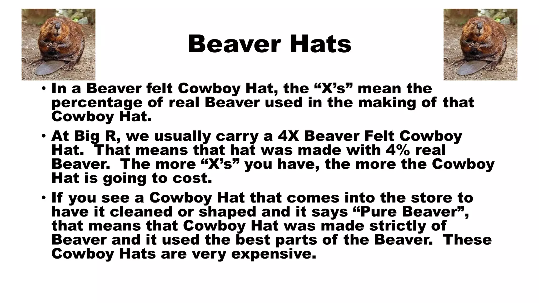 Cowboy hat | PPT
