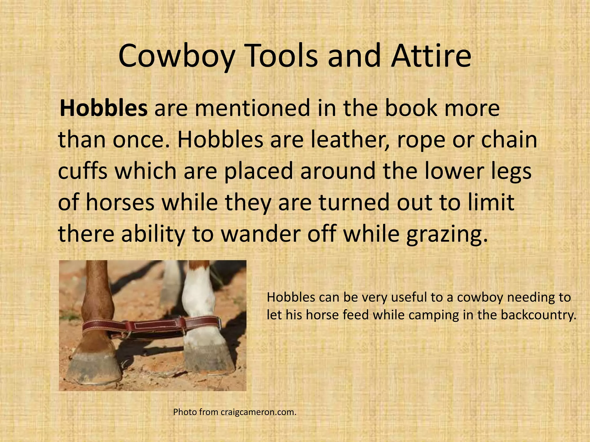 Cowboy tools and attire | PPT