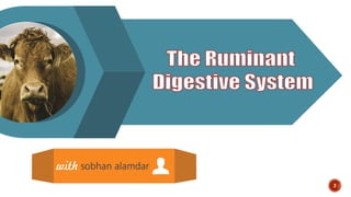 Cow digestive system | PDF