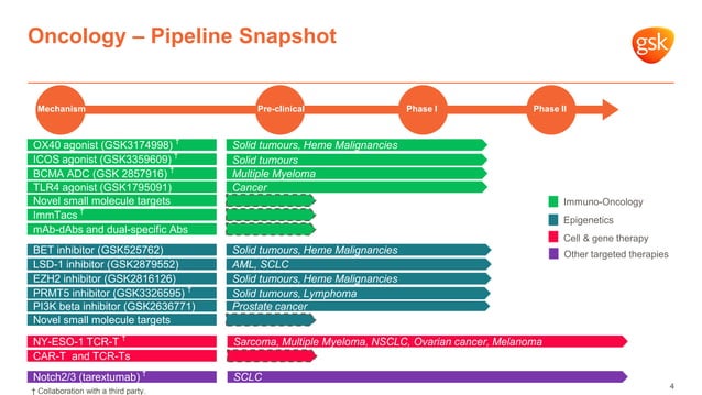 GSK Oncology 2017 | PPT