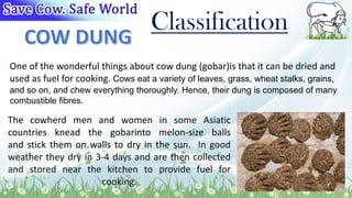 Cow farming Presenting by Satyajit Das | PPT