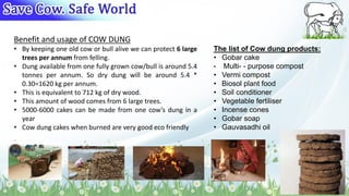 Cow farming Presenting by Satyajit Das | PDF