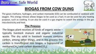 Cow farming Presenting by Satyajit Das | PDF