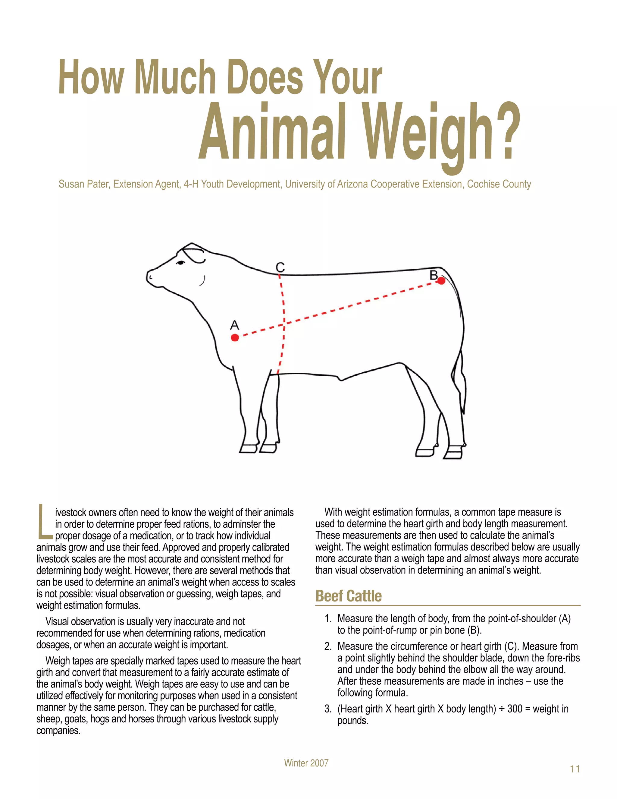 Cow Weight measurement | PDF