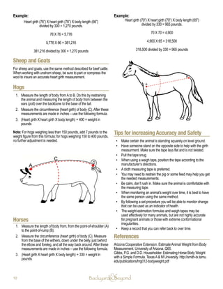 Cow Weight measurement | PDF