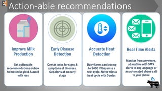 Cowlar - The smart collar for cows | PDF