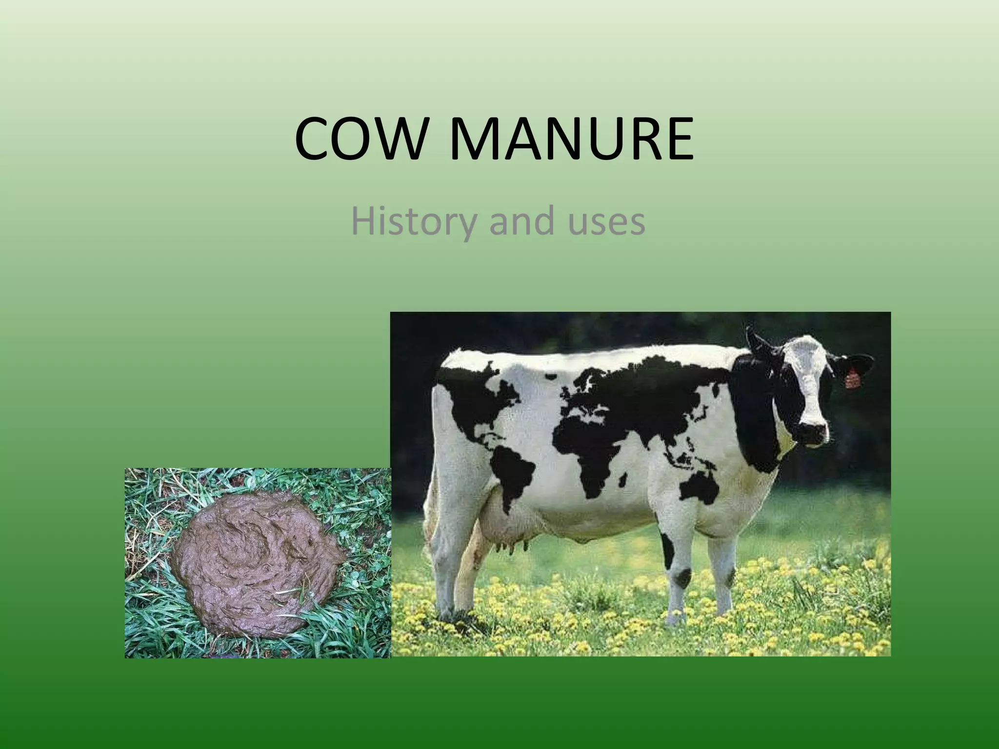 Cow Manure | PPT