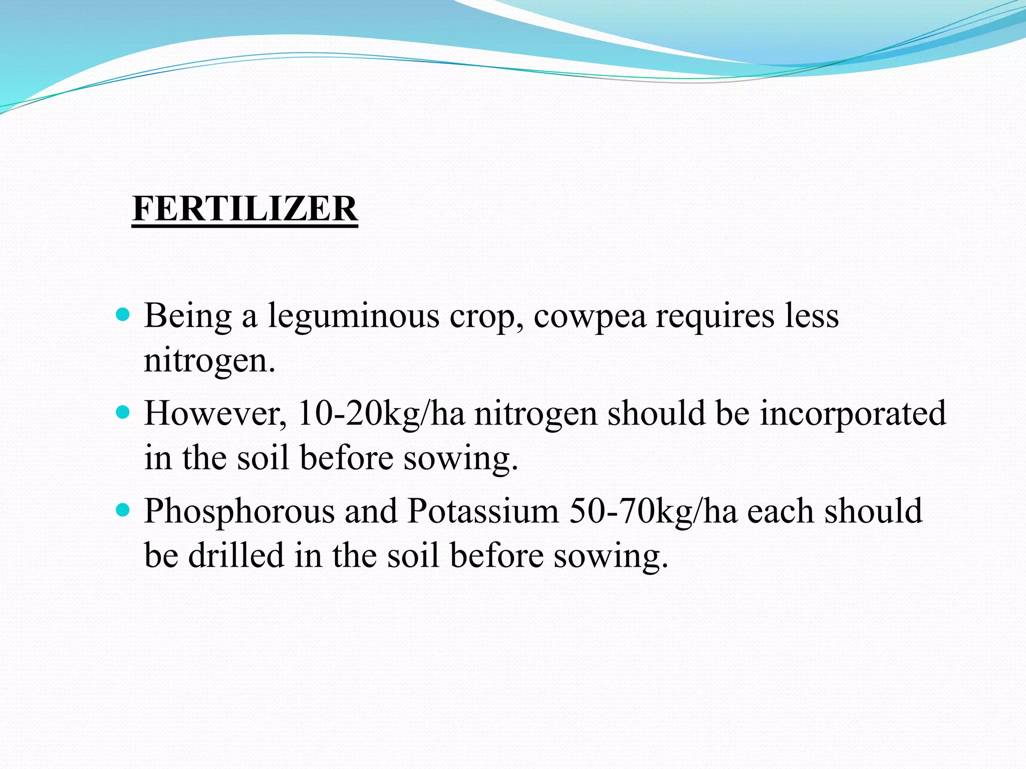 Cowpea | PPTX