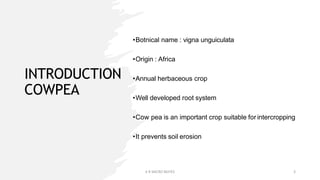 COW PEA MOSAIC K R.pptx