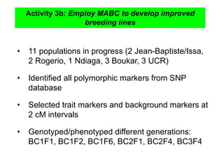 TLM III: Improve cowpea productivity for marginal environments in sub ...