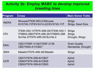 TLM III: Improve cowpea productivity for marginal environments in sub ...