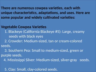 COW_PEA(Vigna_unguiculata)[1].pptx production technology | PPTX