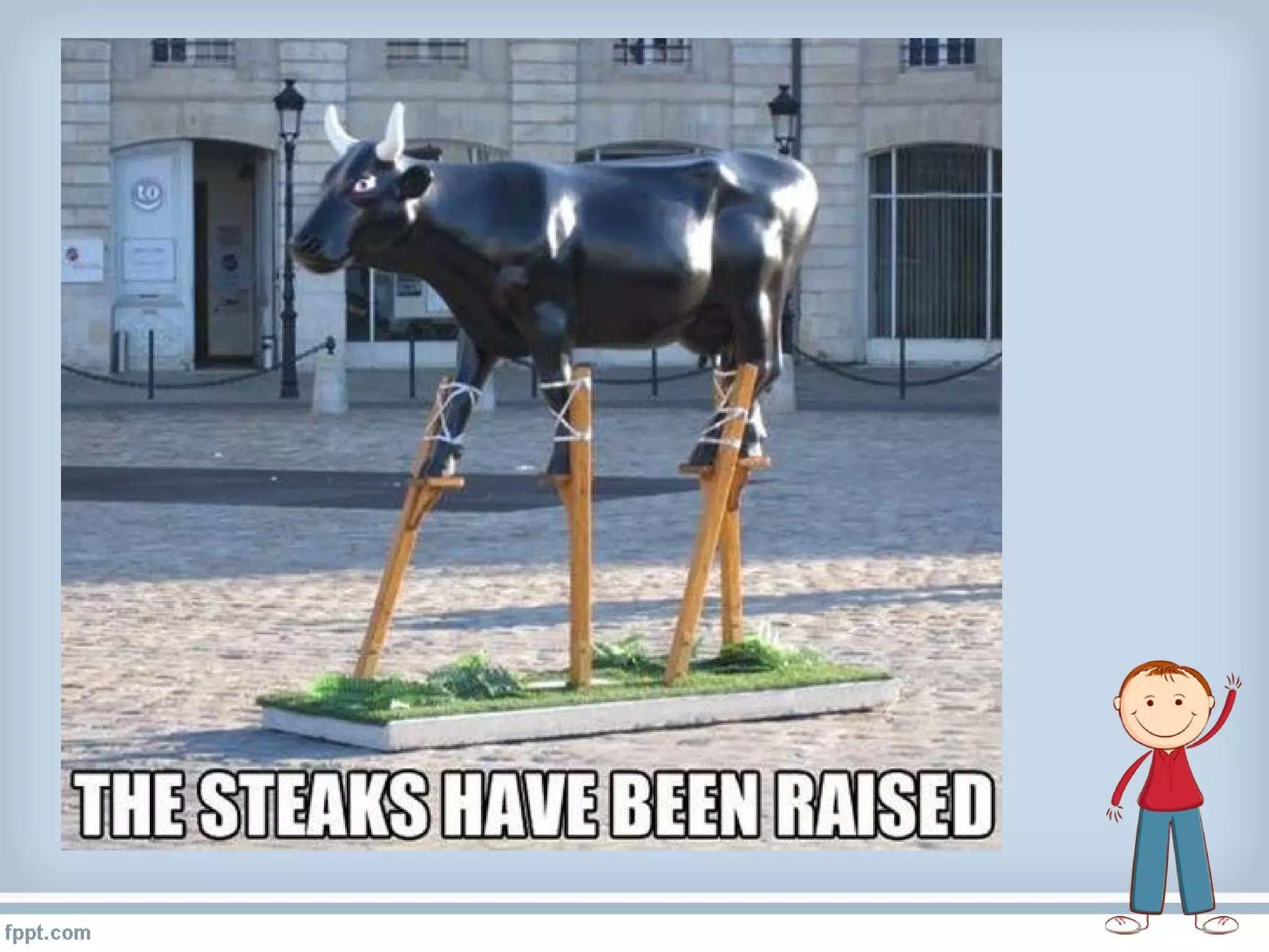 Cow Personality Test | PPT