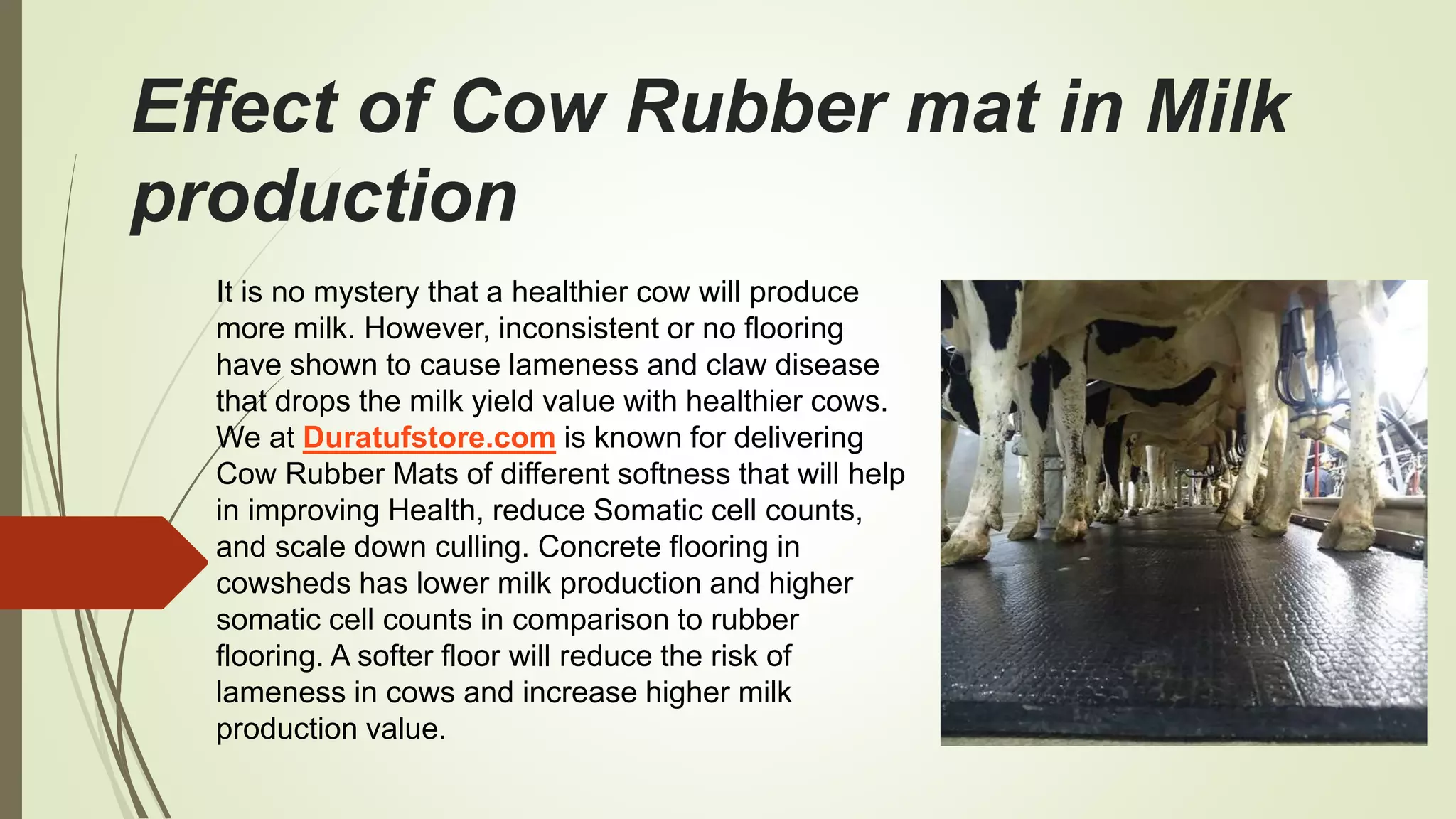 Increase your cow milk production through cow rubber matting! | PPTX